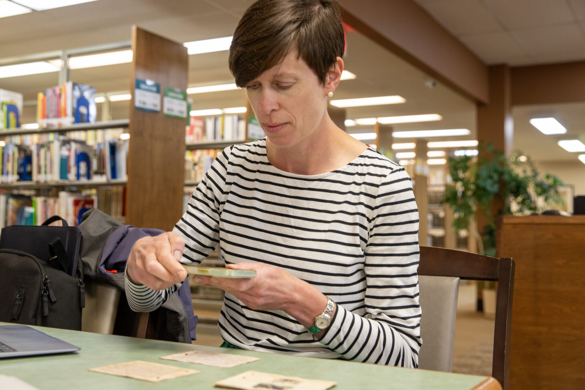 History on tree bark - Elkhart Public Library