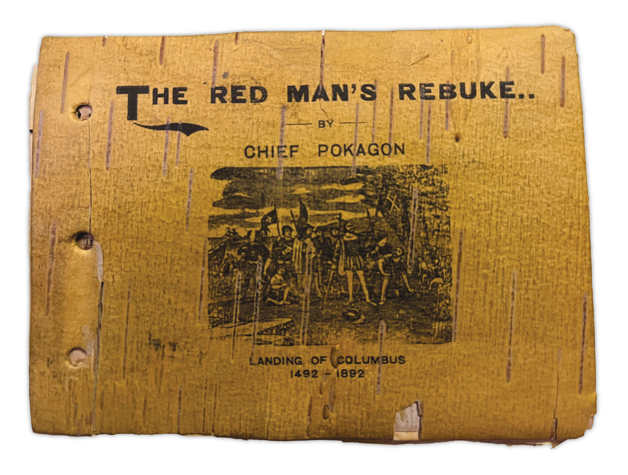 History on tree bark - Elkhart Public Library